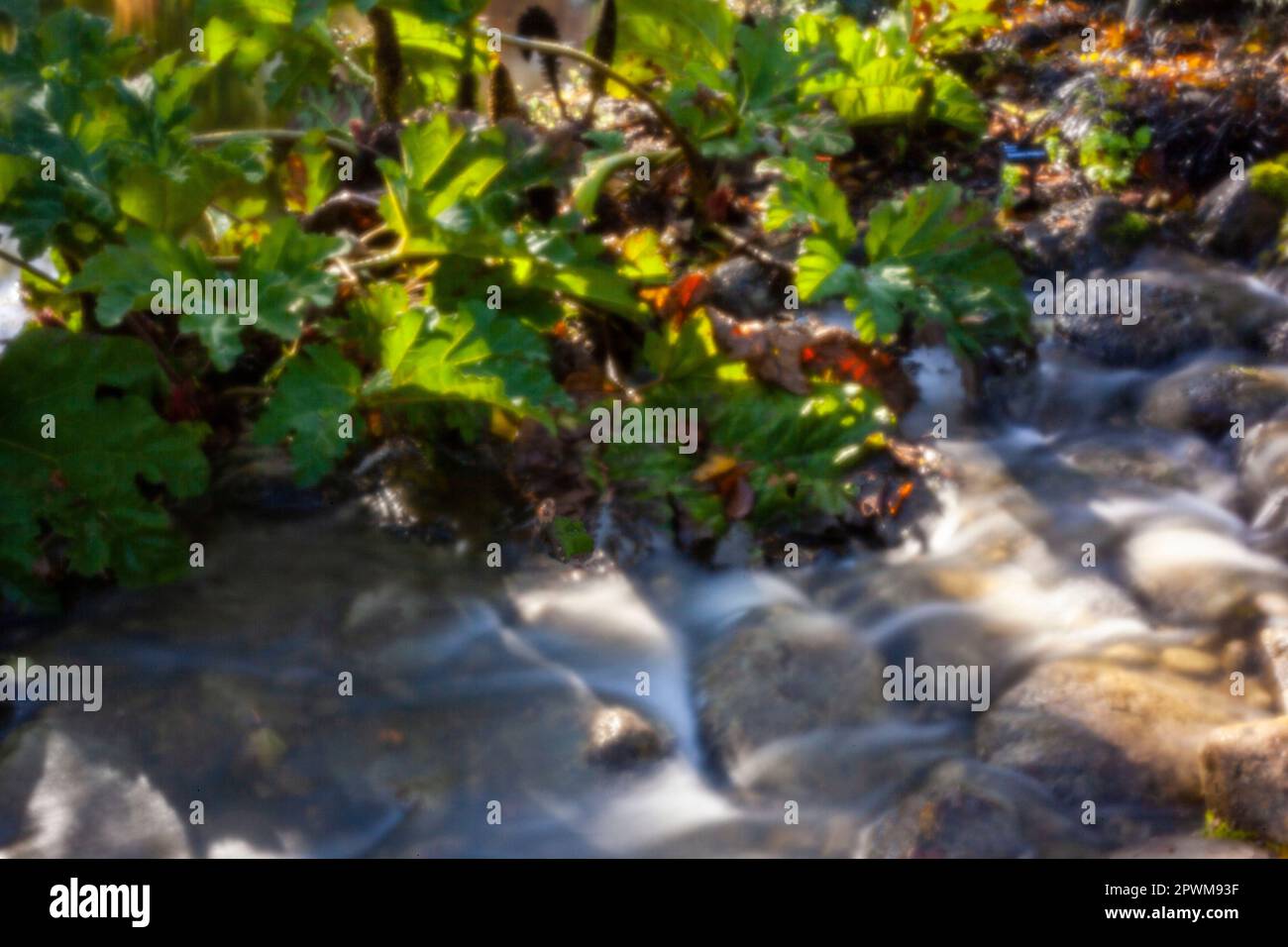 Pinhole collection image hi-res stock photography and images - Alamy