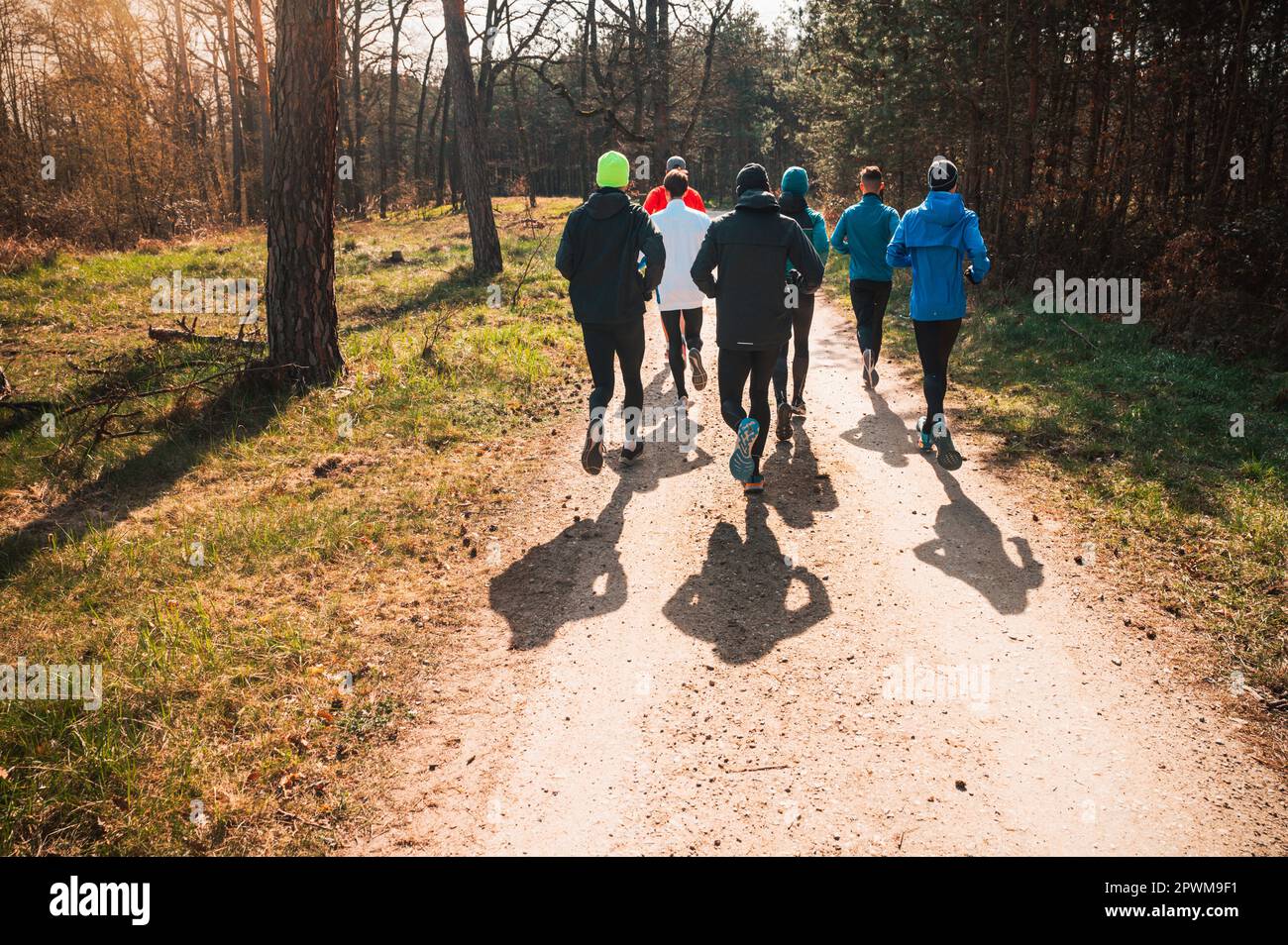 Elite Running Squad Training for Spring Races in Majestic Pine Forest ...