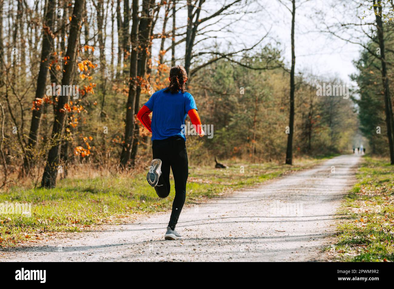 Running Training in Nature. Amidst the peaceful ambiance of a pine ...