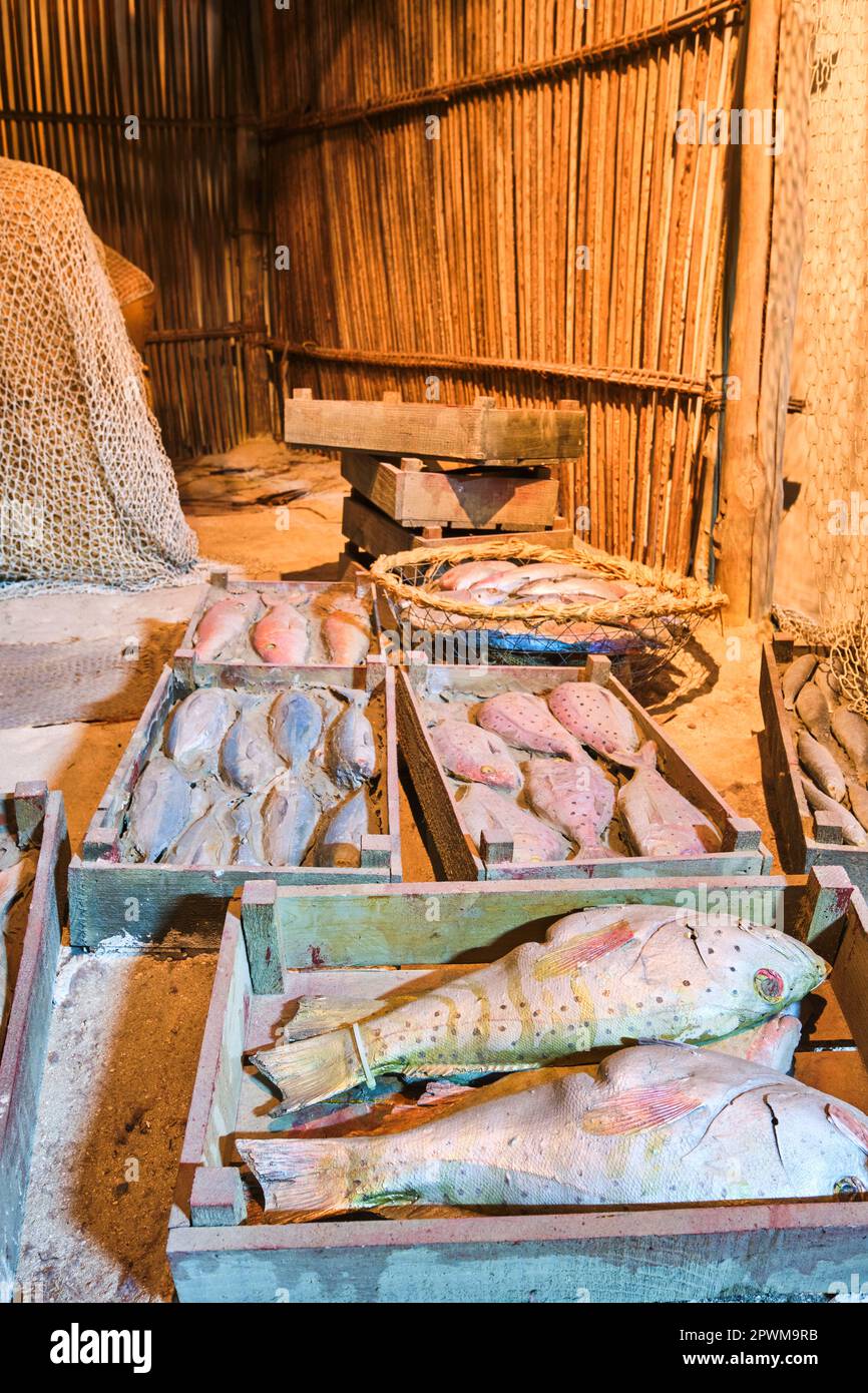 A seaside, thatch stall displaying fresh caught fish, seafood for sale ...