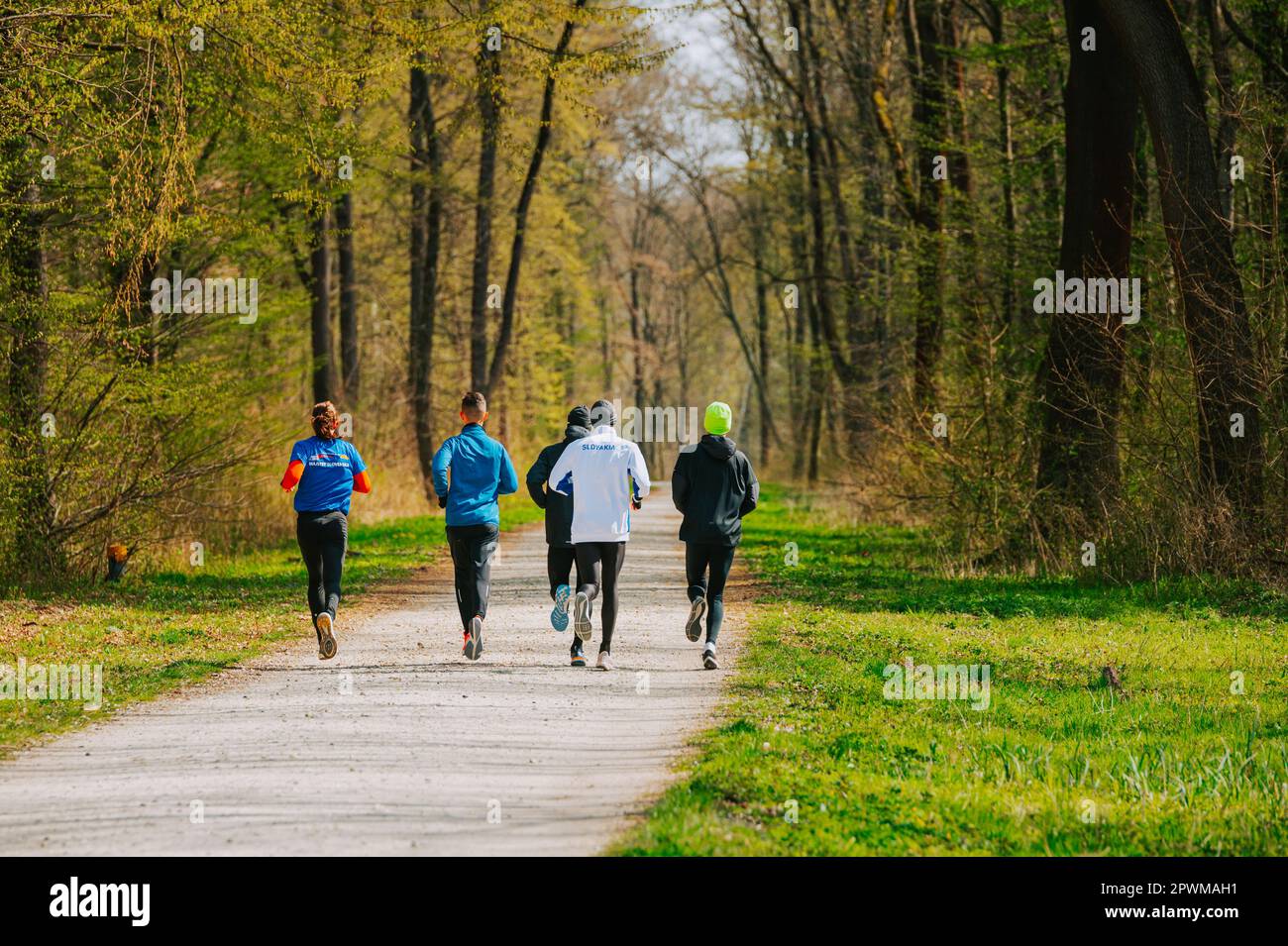 Running photo, morning motivation. Exercise in Team. Experienced ...