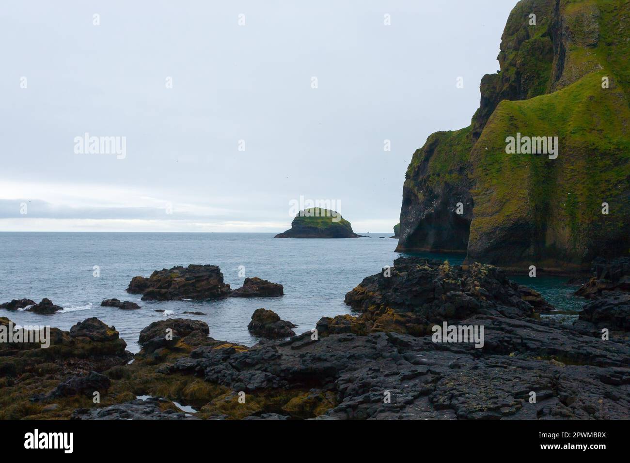 Elephant shape rock, Vestmannaeyjar island beach, Iceland. Vestmann ...