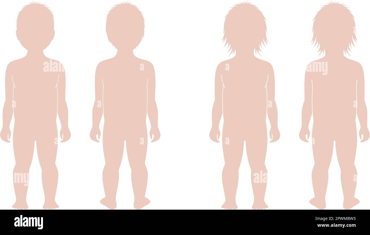 Human body front back drawing vector hi-res stock photography and ...