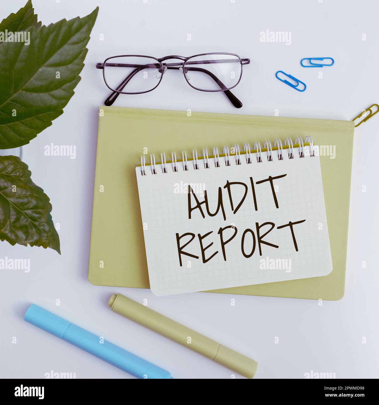 Conceptual display Audit Report, Business concept An appraisal of ...