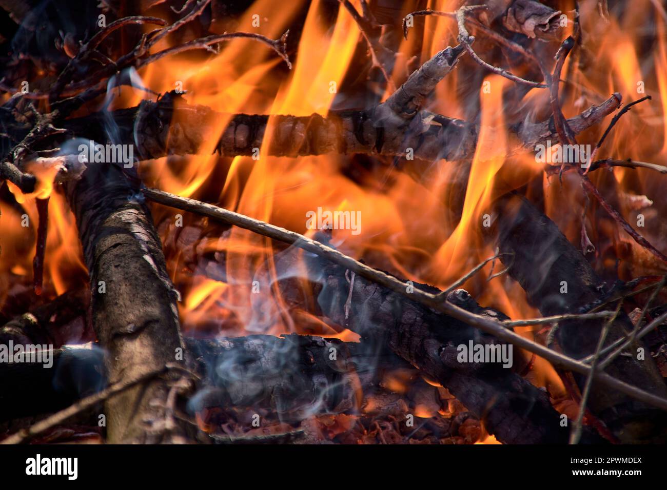 Fire burning wooden sticks. Macro and detail photography. smoke Stock ...