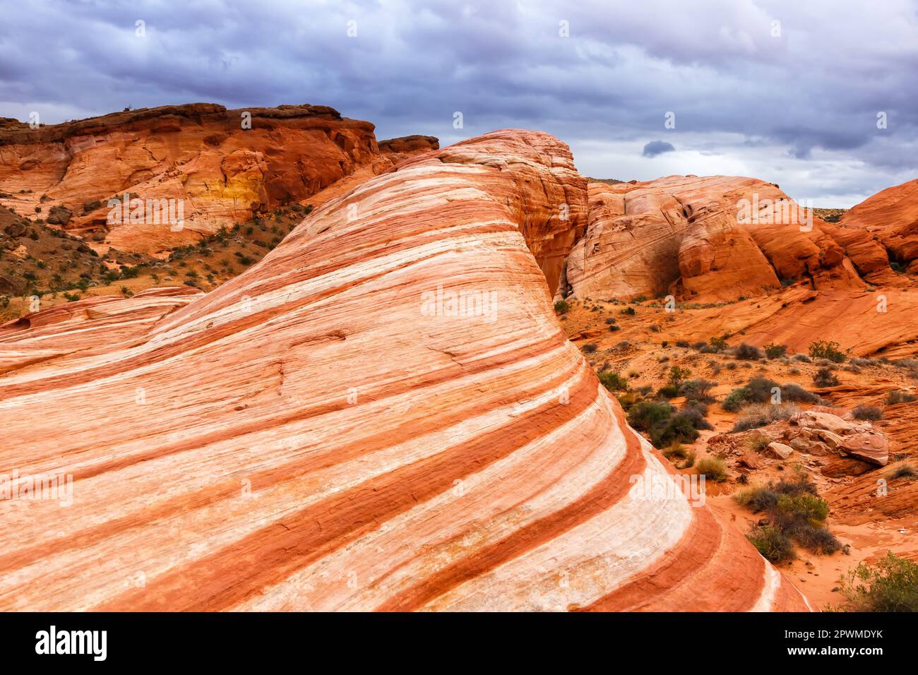 Red sandstone rock formation Fire Wave inside Valley of Fire State Park ...