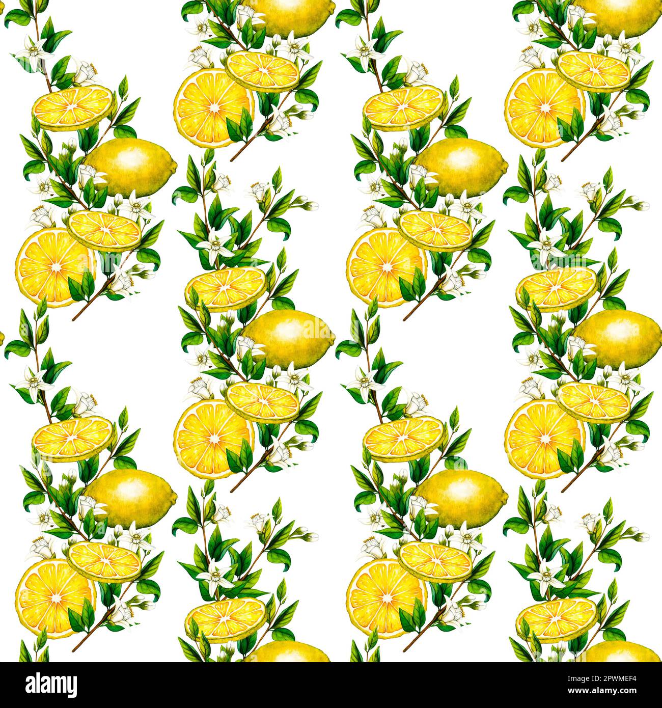 Watercolor seamless pattern with botanical illlustration of lemon tree ...