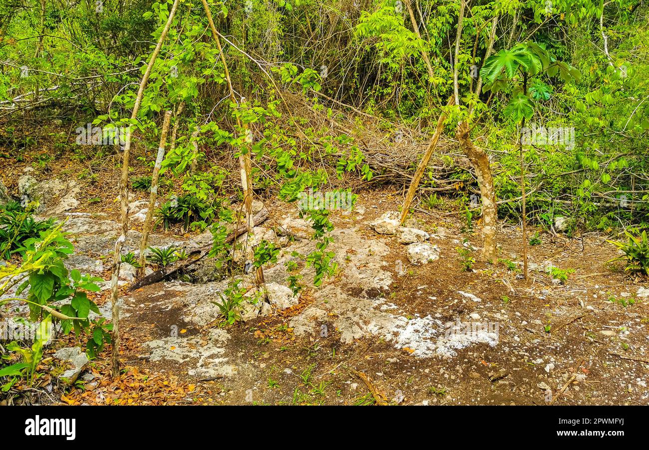 Walking trekking path at the amazing blue turquoise water and limestone ...