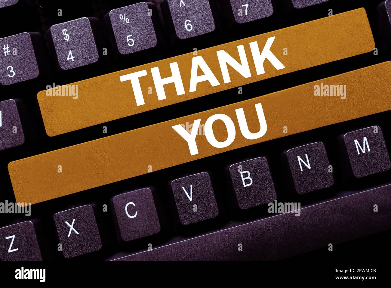 Inspiration showing sign Thank You, Business approach replaying on ...