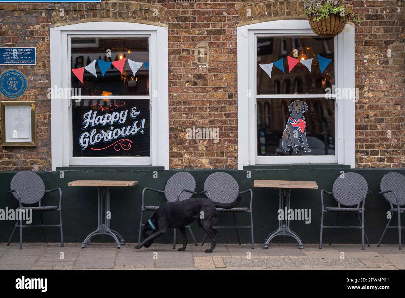Wimbledon London UK. 1 May 2023. A black labrador walks past the ...