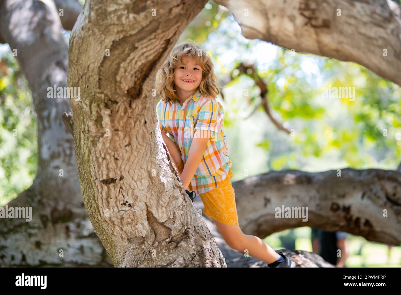 Kid climbing on a tree branch outdoor Stock Photo - Alamy