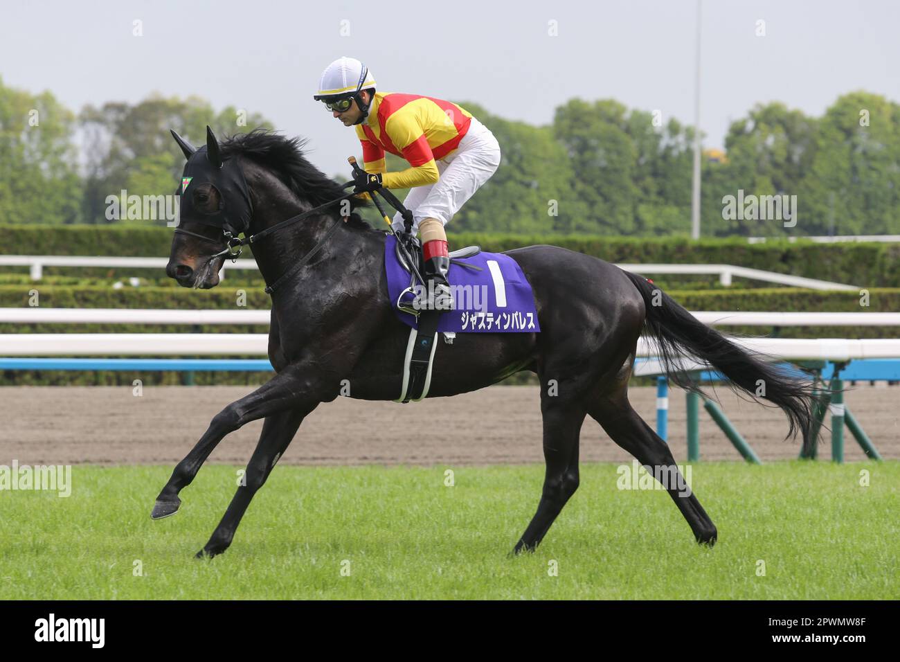 Kyoto, Japan. 30th Apr, 2023. Justin Palace and Christophe Lemaire ...