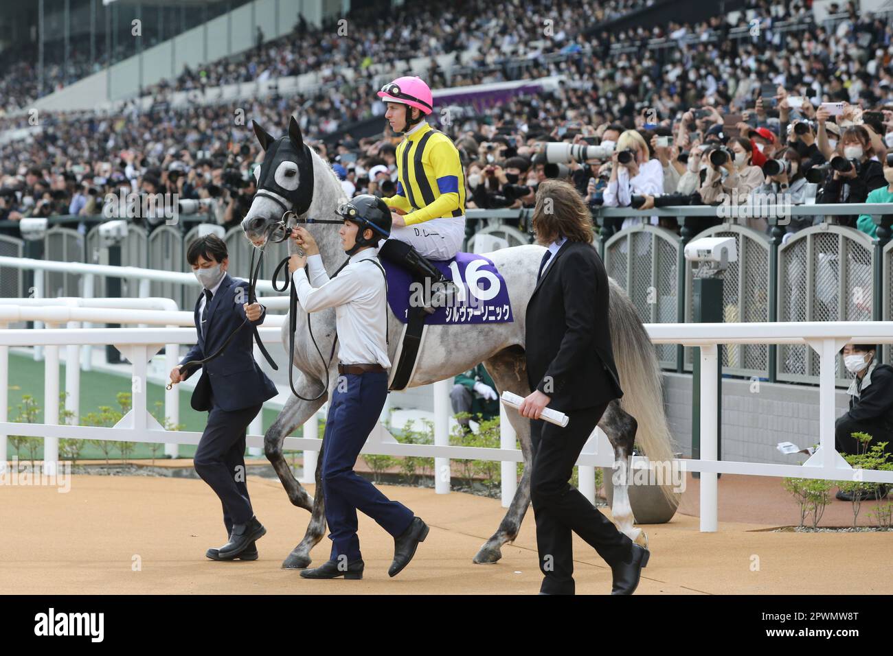 Silver sho hi-res stock photography and images - Alamy