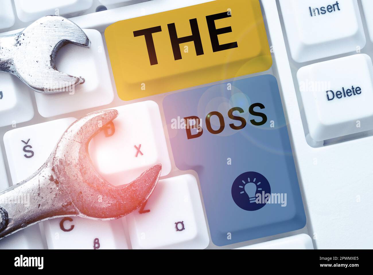 Conceptual display The Boss, Business concept a person who exercises ...