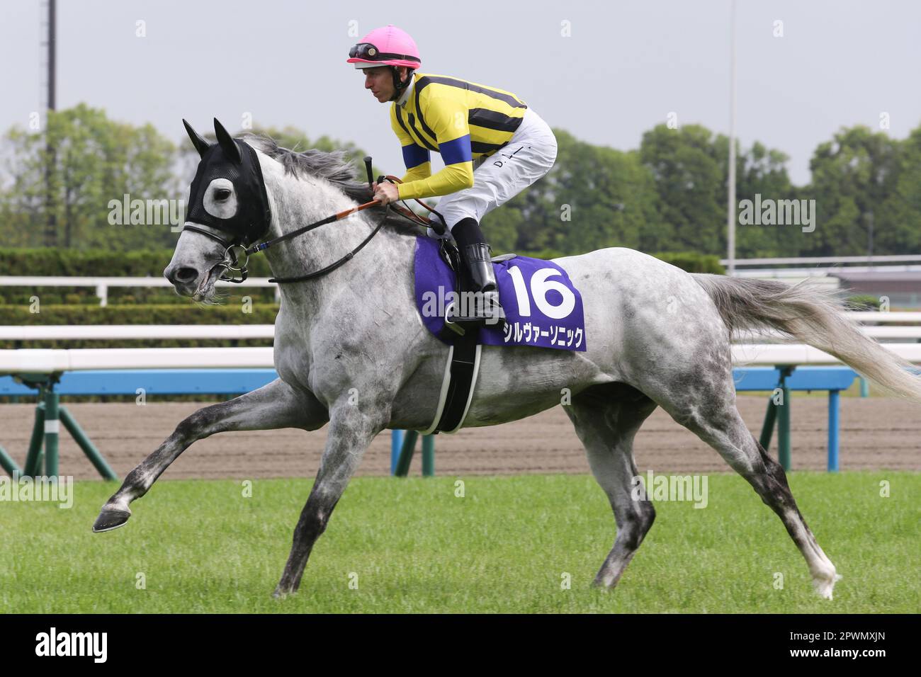 Kyoto, Japan. 30th Apr, 2023. Silver Sonic and Damian Lane before the ...