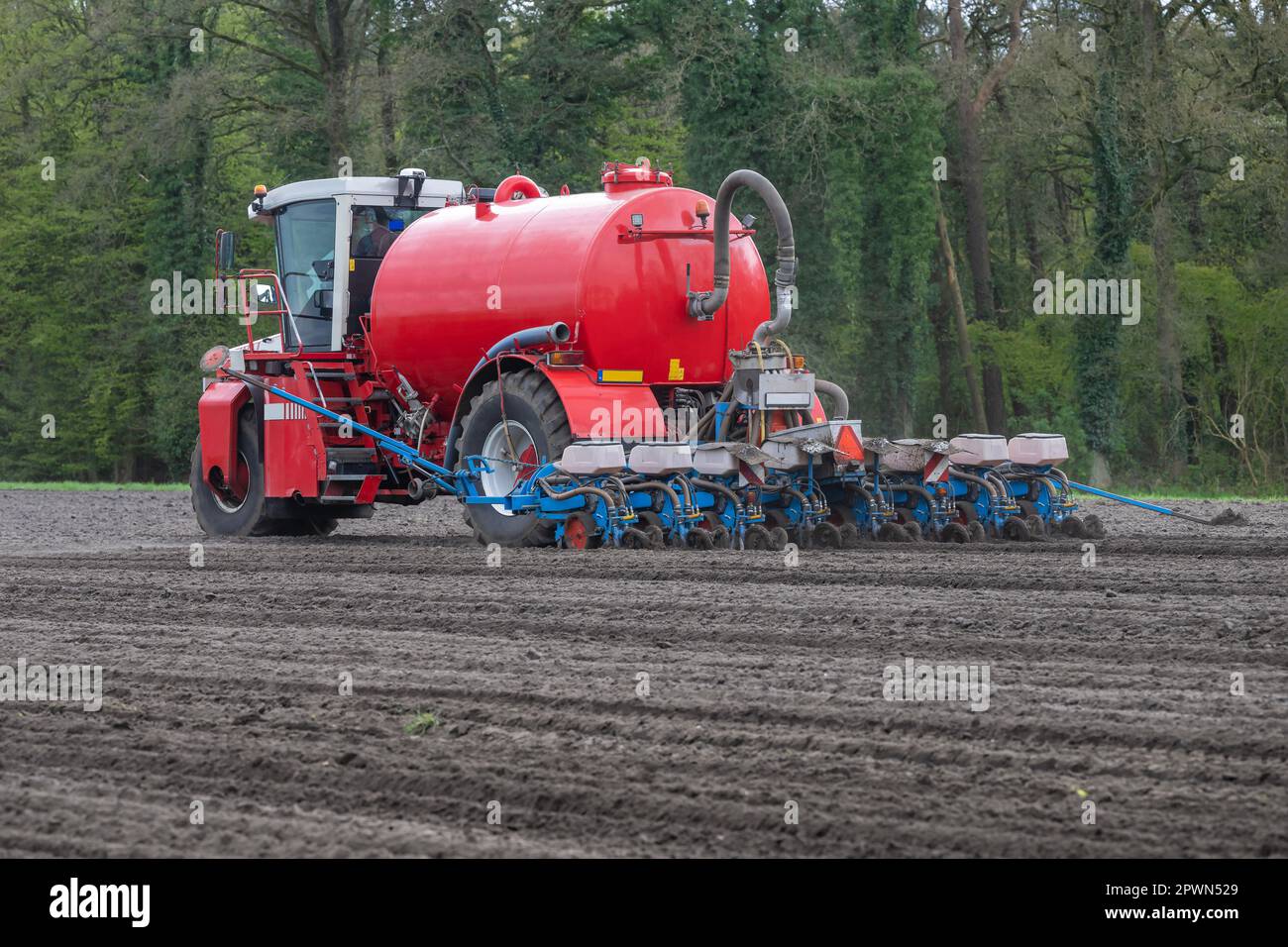 A slurry injector planting maize on arable land in the east of the ...