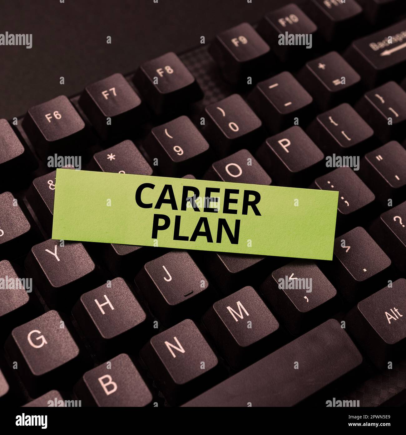 Text caption presenting Career Plan, Word Written on ongoing process ...