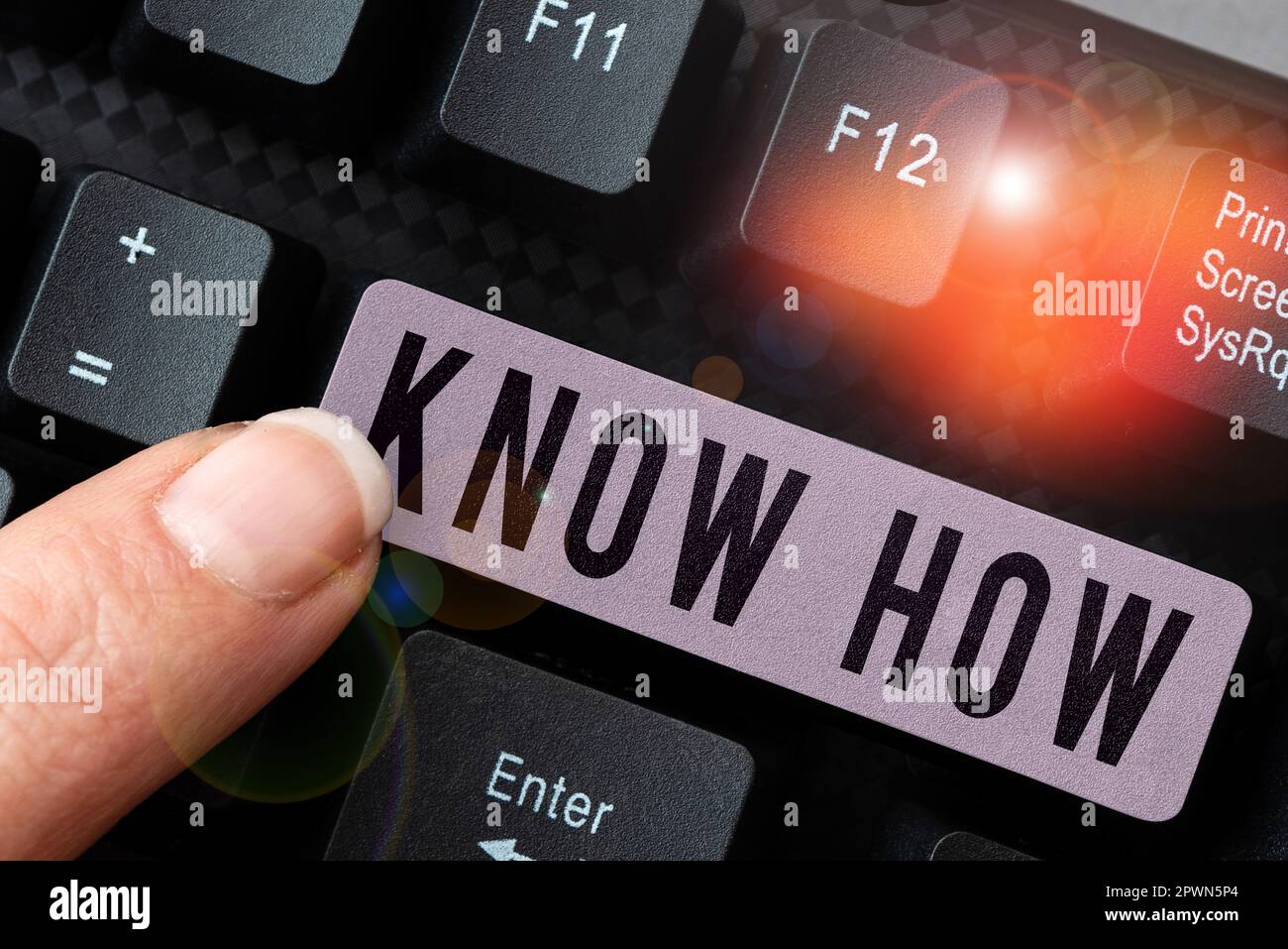 Conceptual caption Know How, Business overview The process to learn of ...