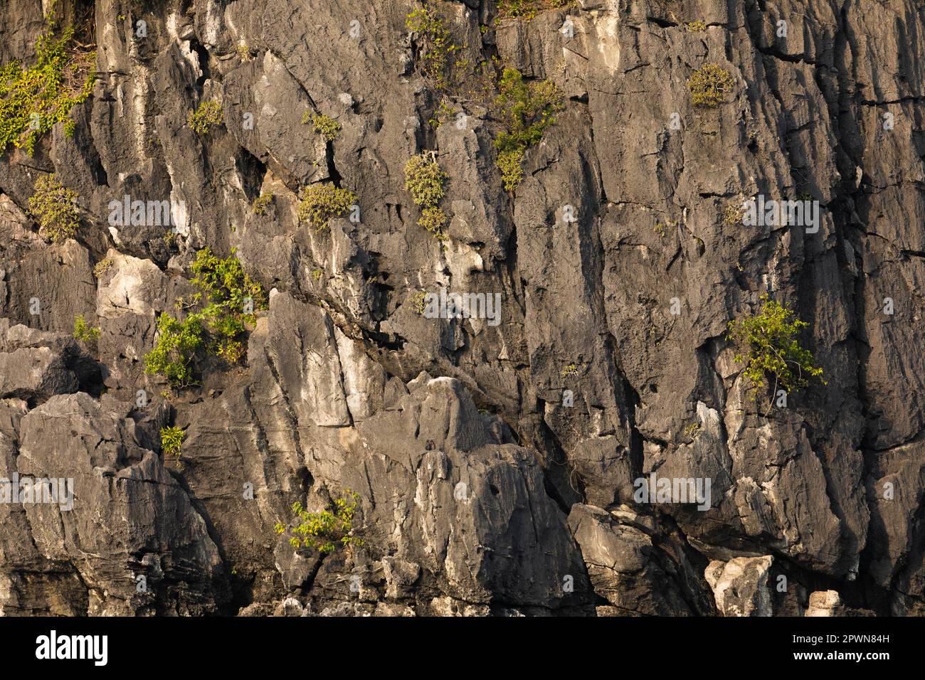 Texture of rocky background in a Karst landscape, Ha Long Bay in ...