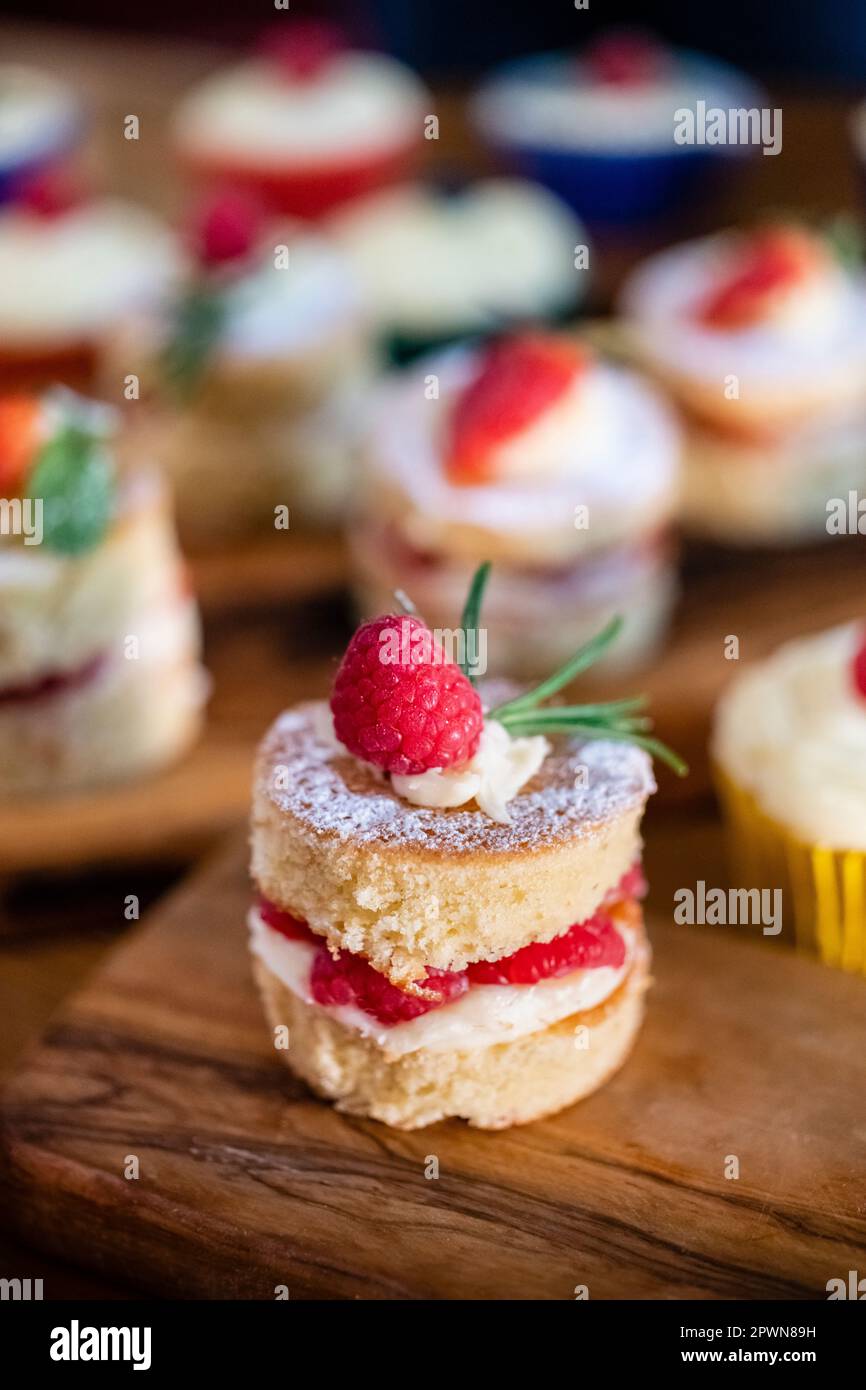 Board sponge hi-res stock photography and images - Alamy