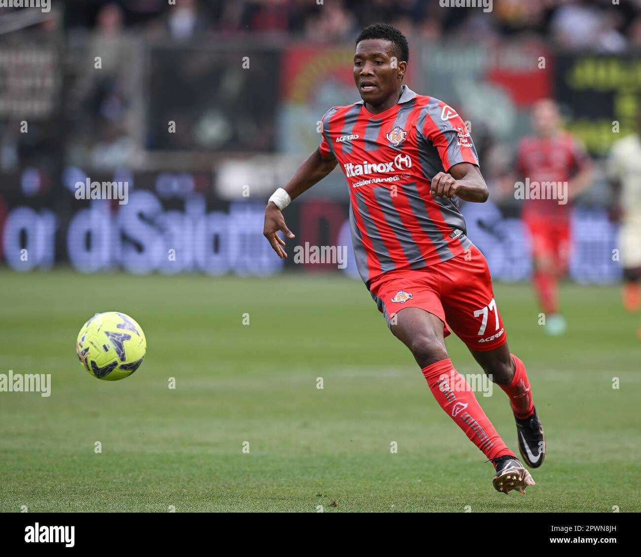 David zini hi-res stock photography and images - Alamy