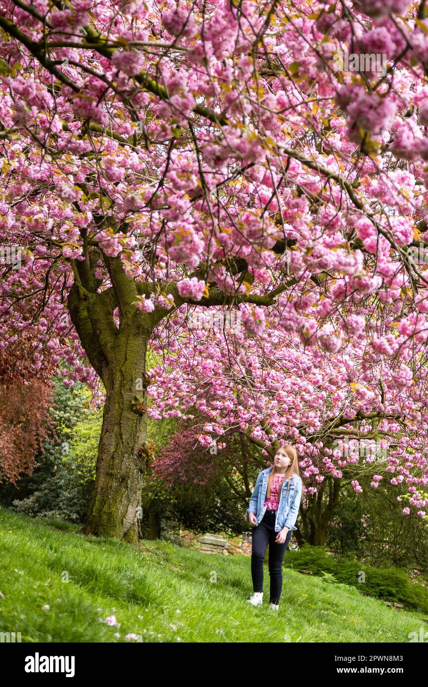 Season 11 2023 hi-res stock photography and images - Alamy