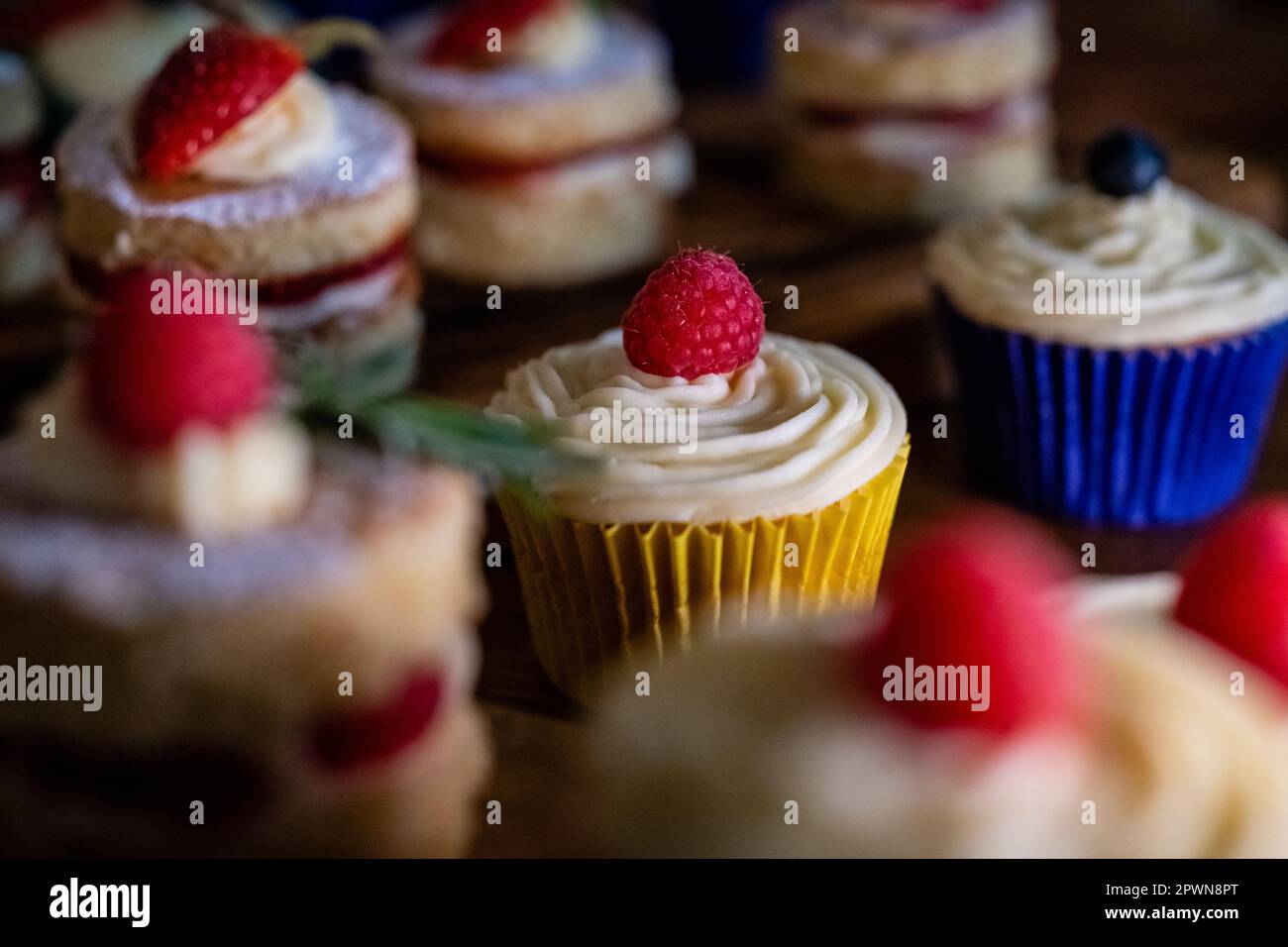 Beautiful mini Victoria sponges and cupcakes on seasoned wooden ...