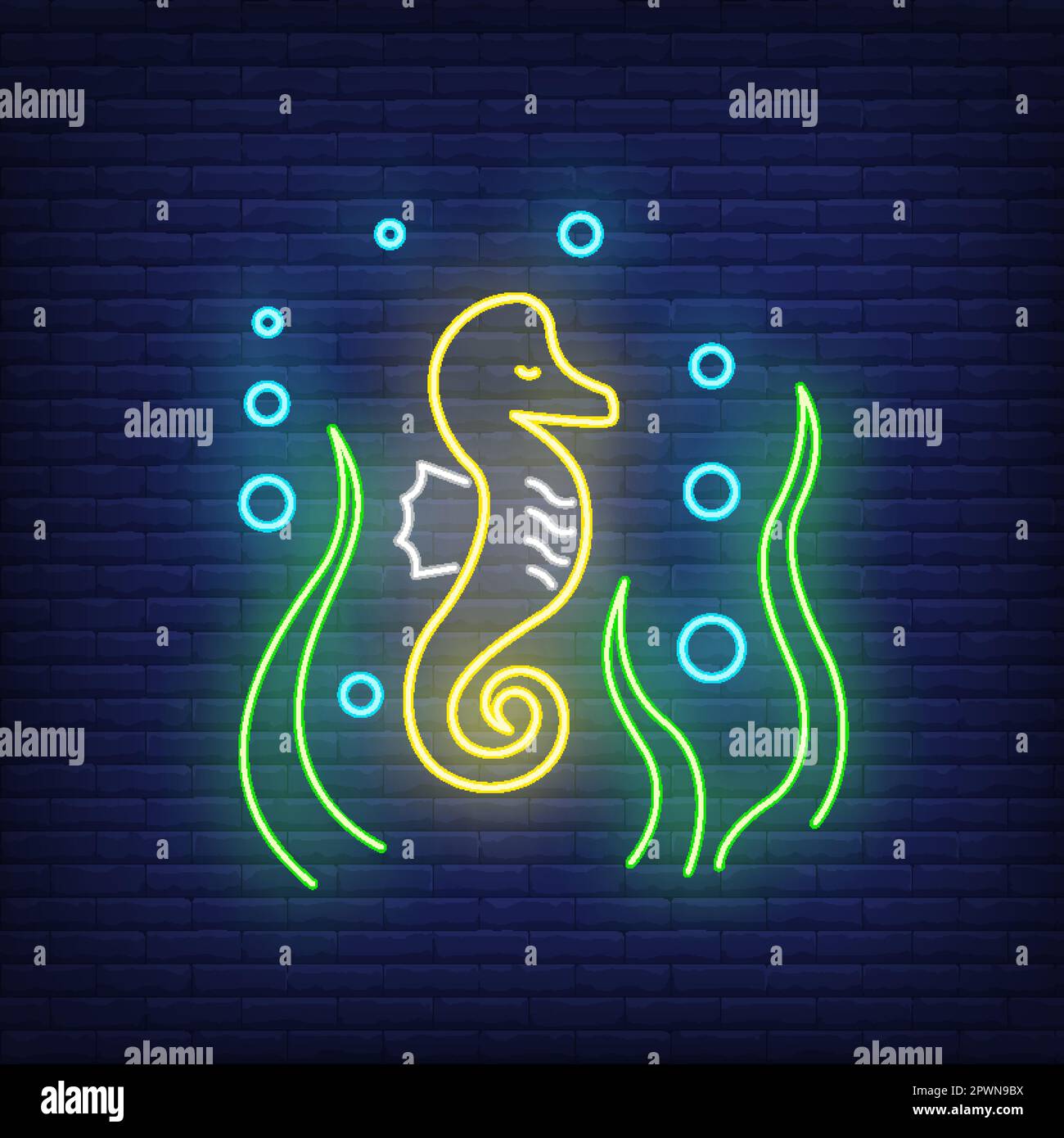 Seahorse neon sign Stock Vector Image & Art - Alamy