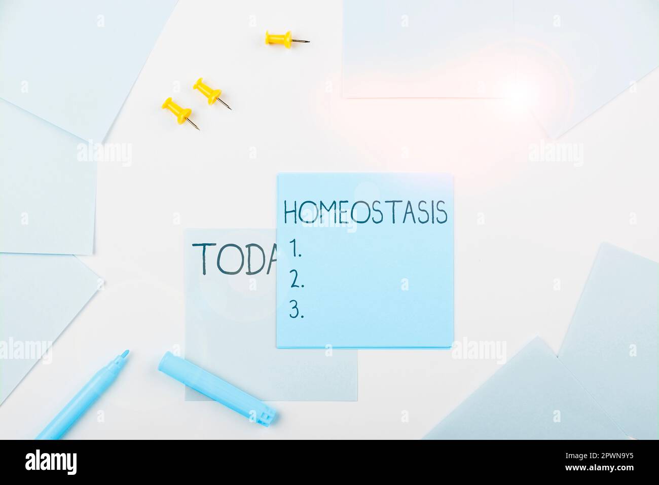 Conceptual display Homeostasis, Conceptual photo the tendency toward a ...