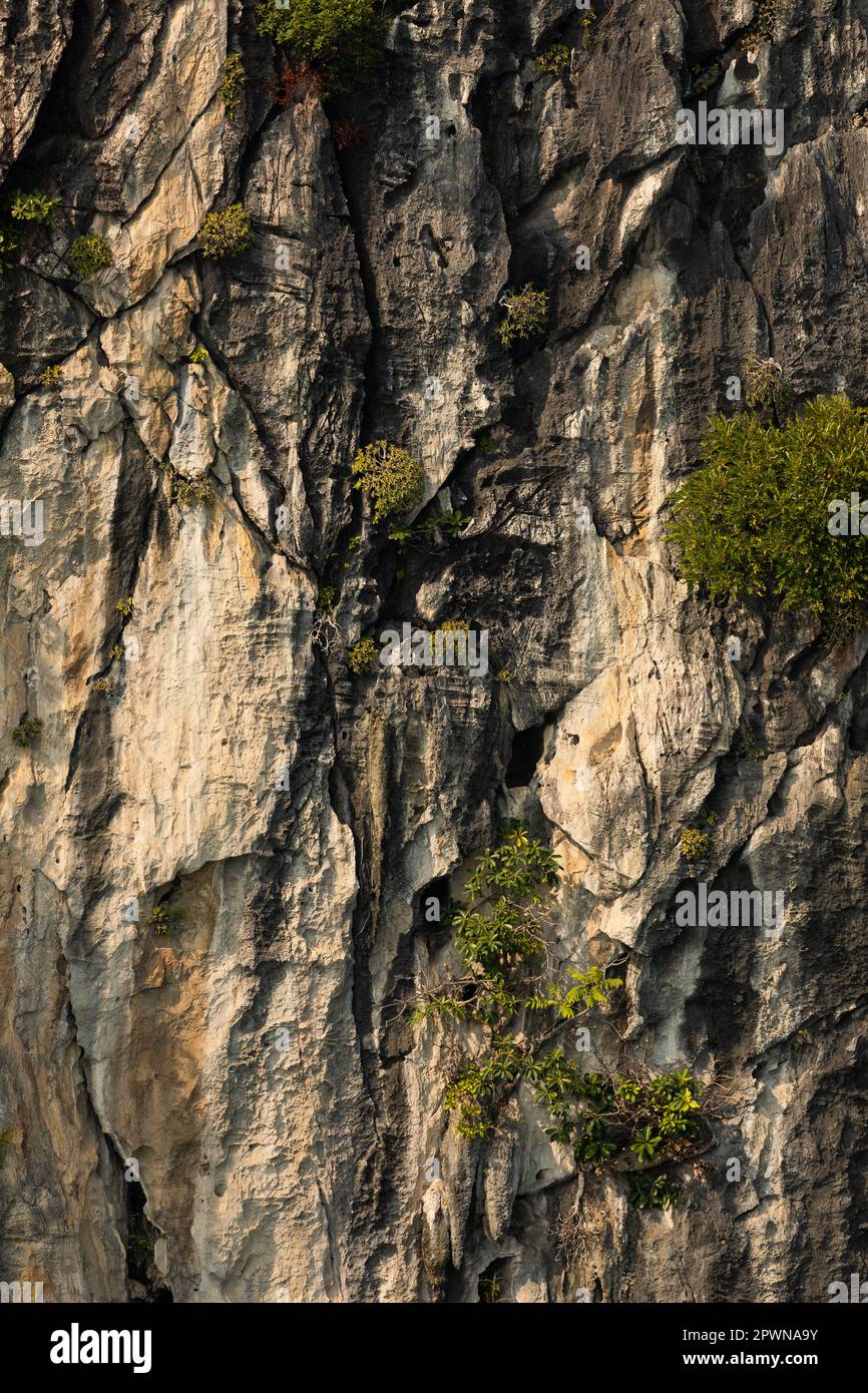 Texture of rocky background in a Karst landscape, Ha Long Bay in ...