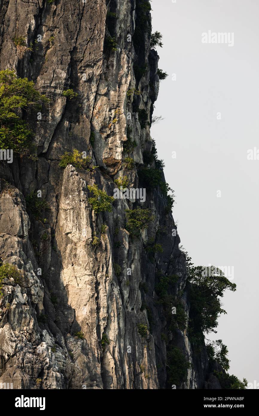 Texture of rocky background in a Karst landscape, Ha Long Bay in ...