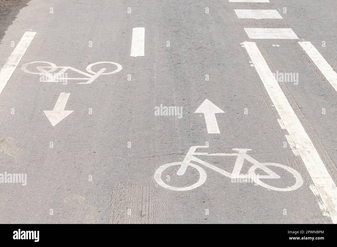 markings on the bike path in the park. bike path sign. reversal in park ...
