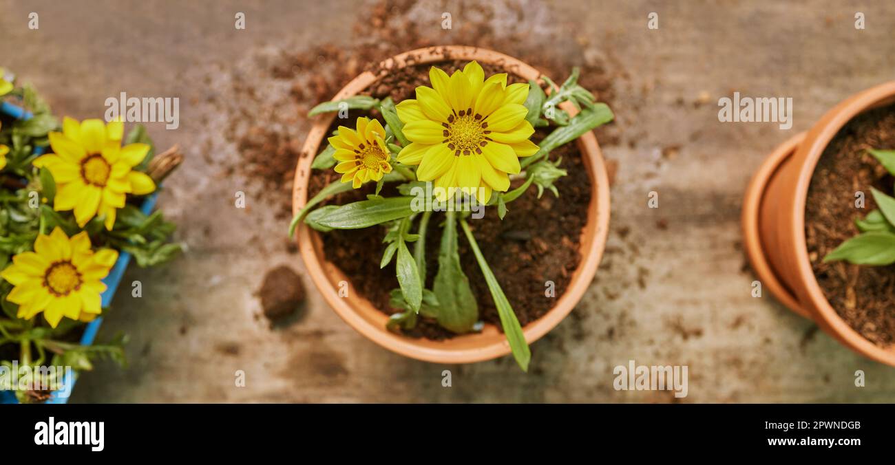 Spring flow hi-res stock photography and images - Alamy