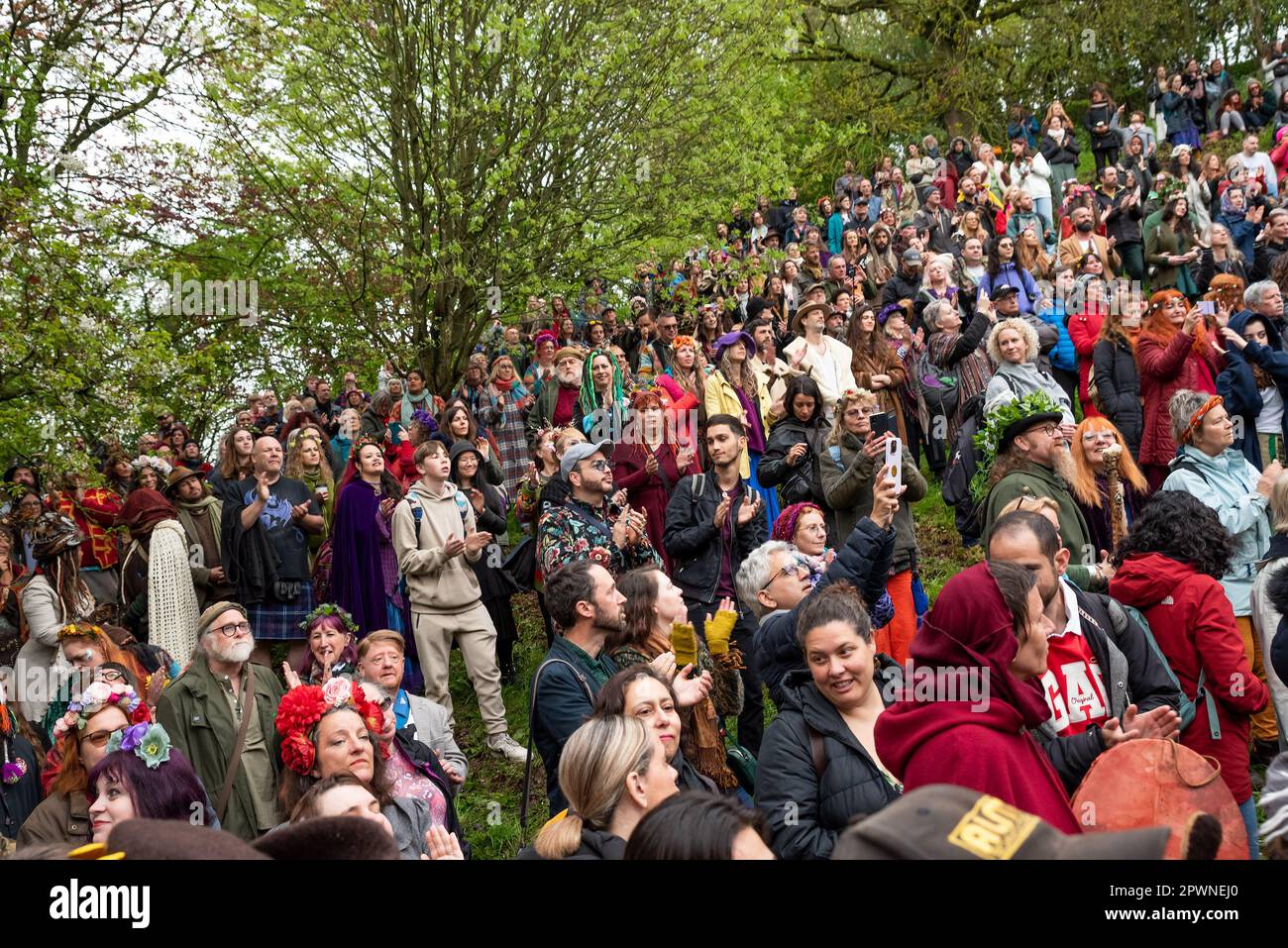 Cress field hi-res stock photography and images - Alamy