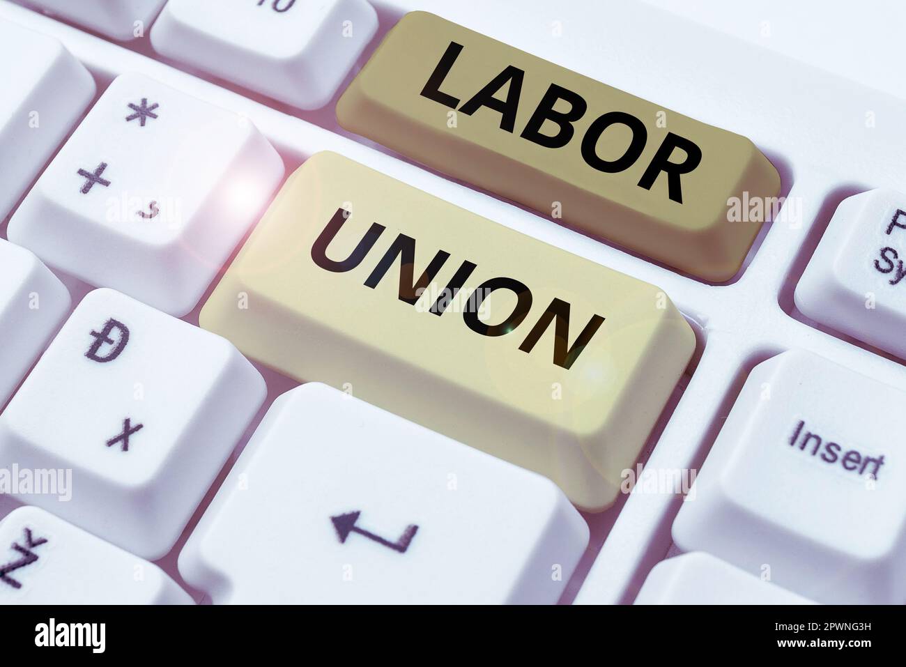 Writing displaying text Labor Union, Conceptual photo rules relating to ...