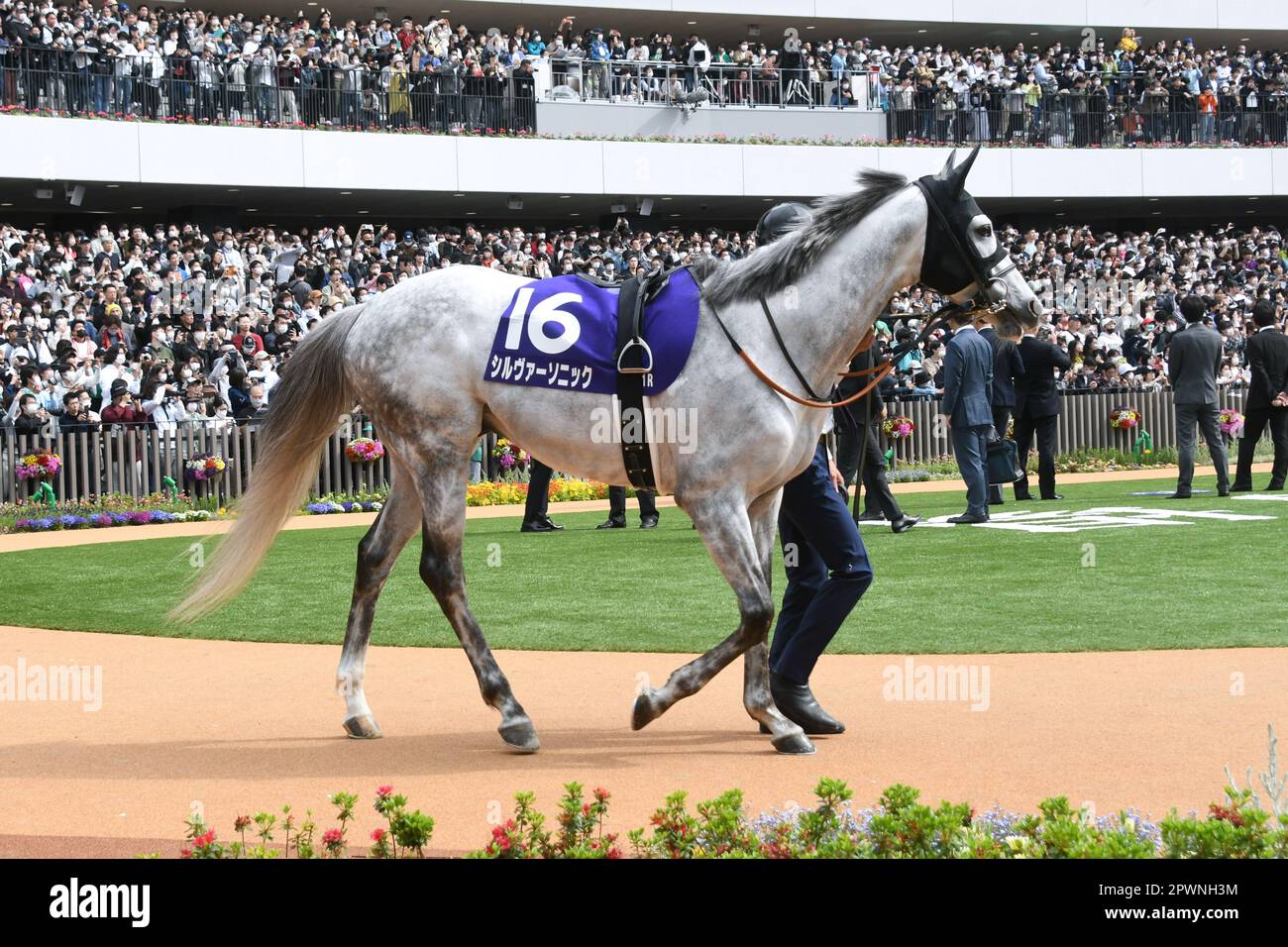 Kyoto, Japan. 30th Apr, 2023. Silver Sonic is led through the paddock ...