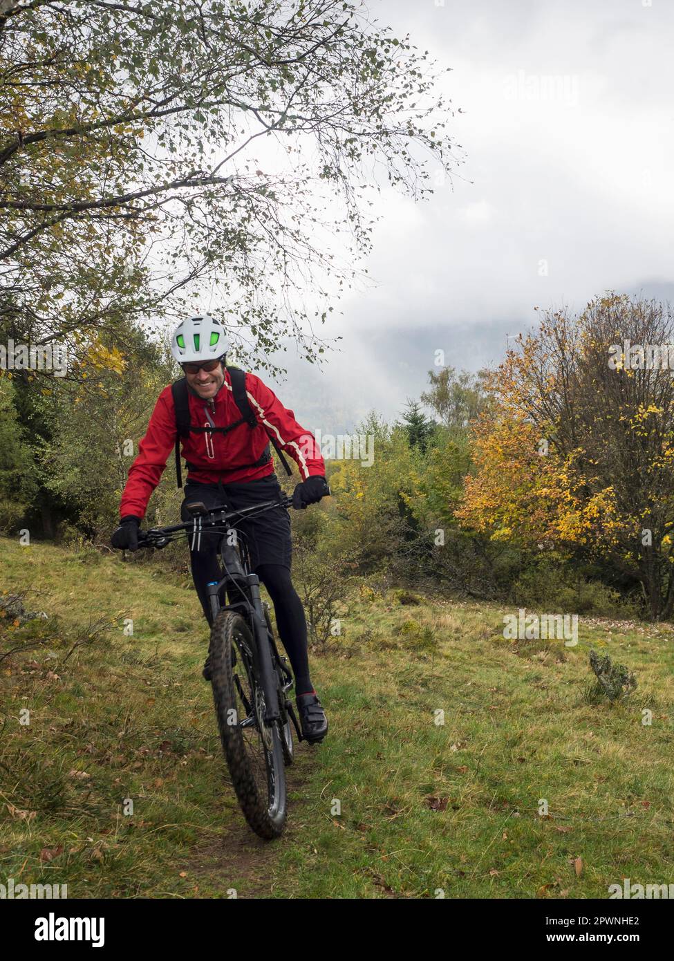 Man riding electric mountain bike on single trail, Vosges, France Stock Photo - Alamy