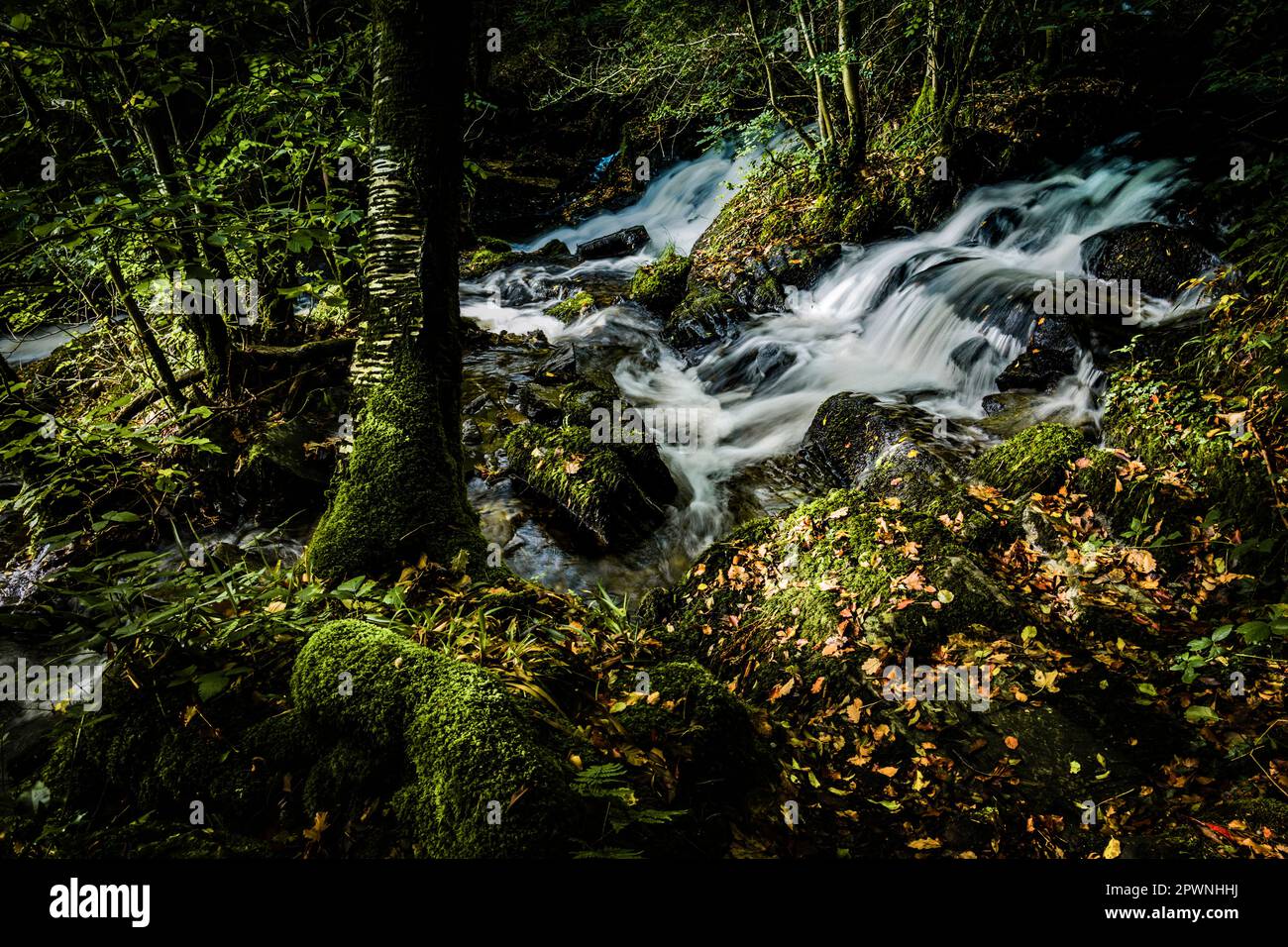 A small waterfall beside the road swelled by sudden rainfall, English ...