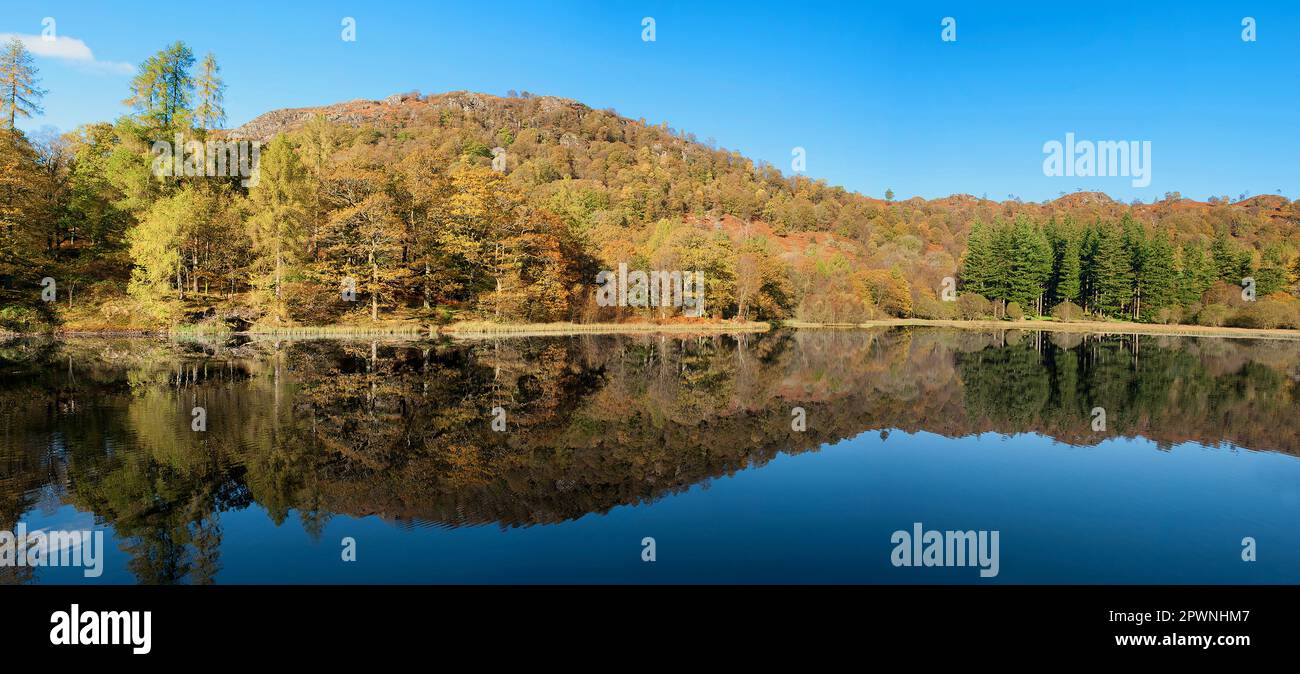Yew tree tarn lake district hi-res stock photography and images - Alamy
