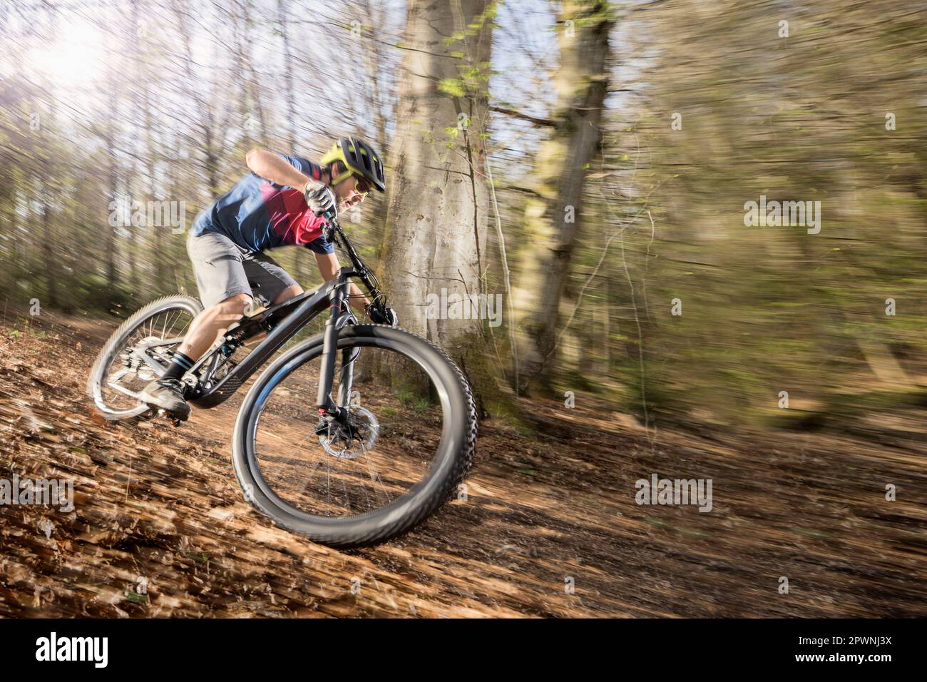Mountain biker riding down hill on forest path, Bavaria, Germany Stock ...