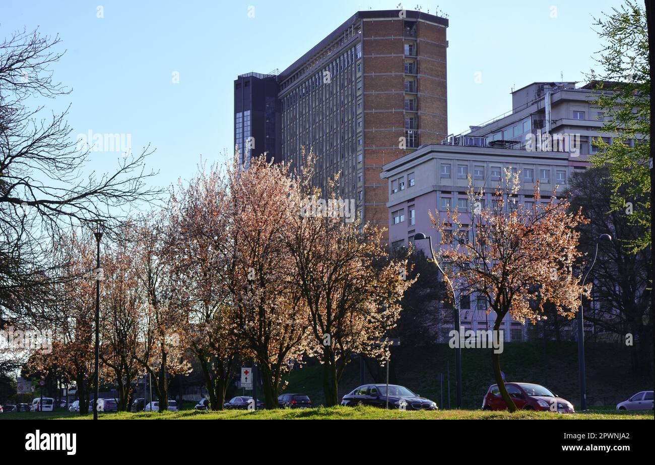 Turin, Piedmont/Italy- 03/19/2019- CTO hospital in Turin, is a Regional ...