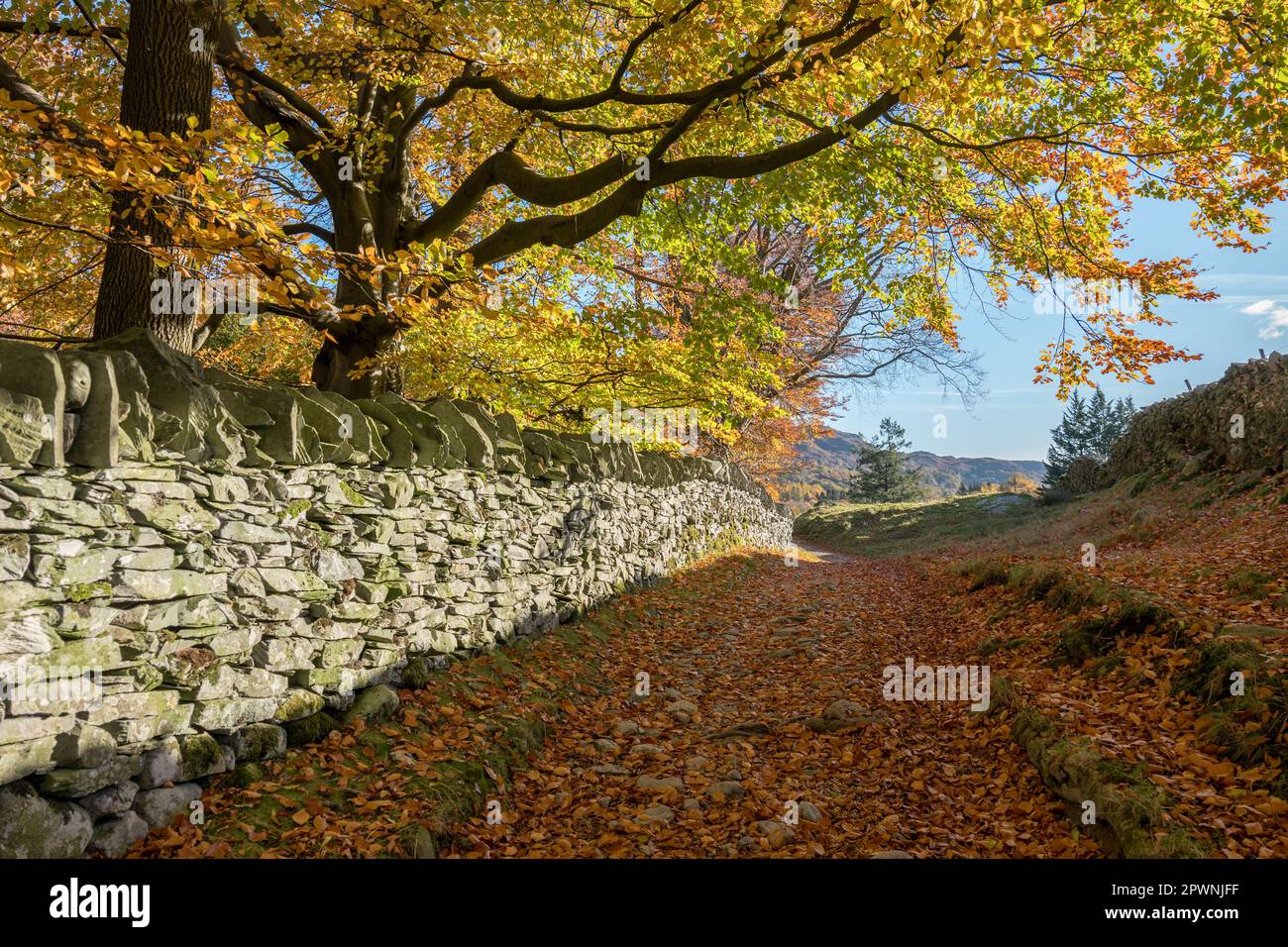 Autumn in Elterwater, Langdale Valley, English Lake District Stock ...