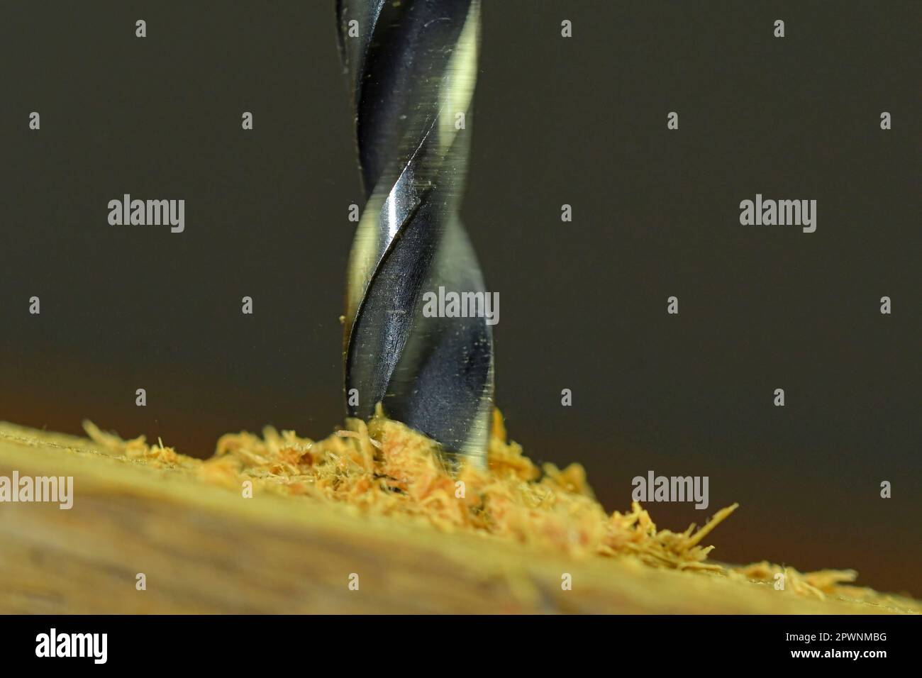 Rotating drill in wood. Drill with flying wood chips. Concept for ...