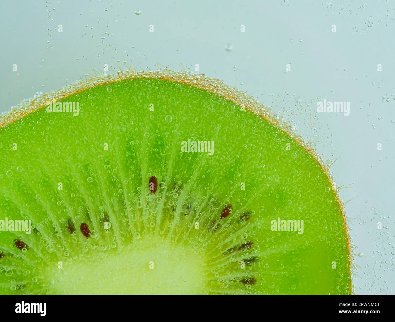 Fresh kiwi fruit slice in liquid with bubbles. Close-up of a kiwi fruit ...