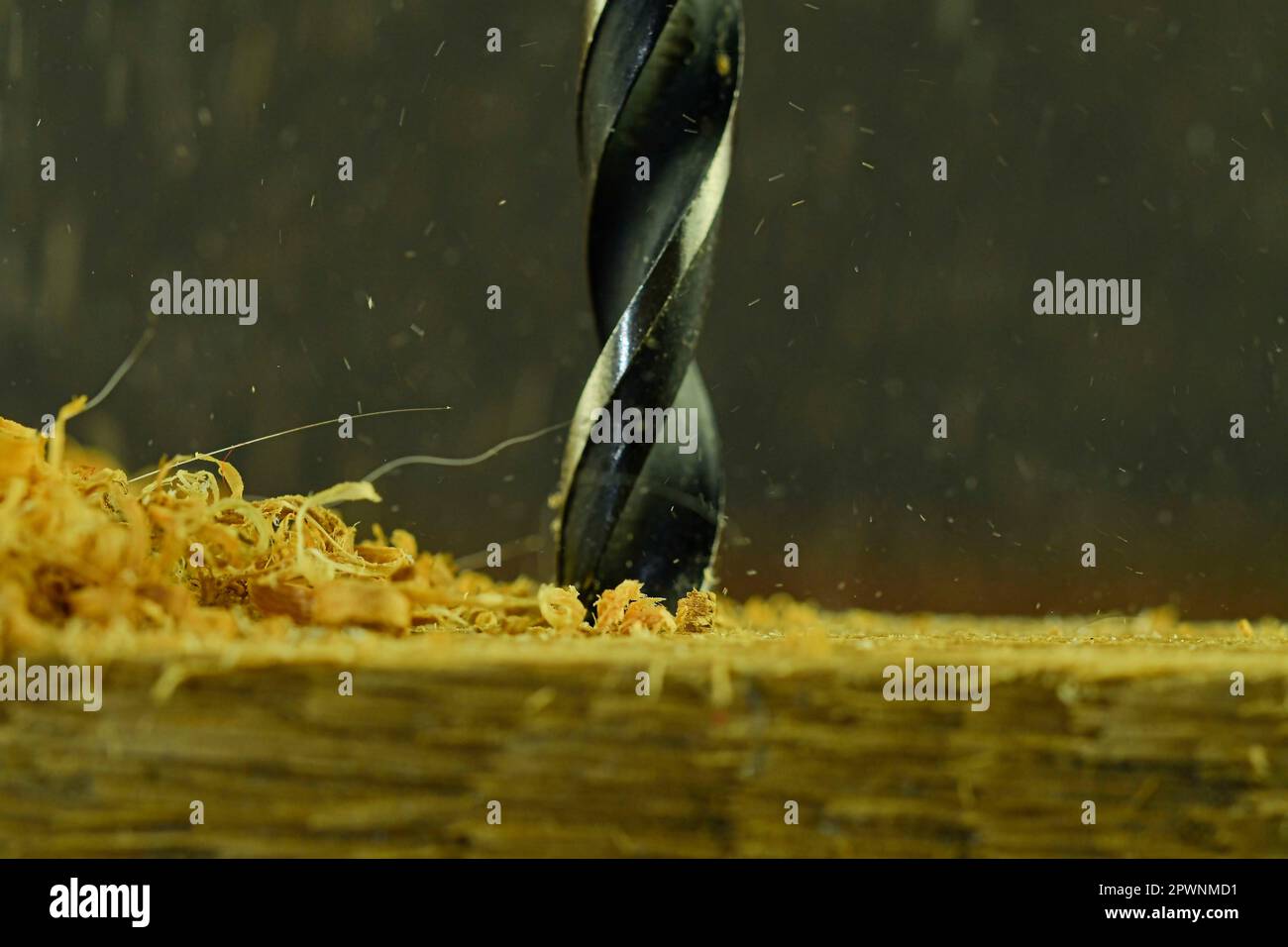 Rotating drill in wood. Drill with flying wood chips. Concept for ...
