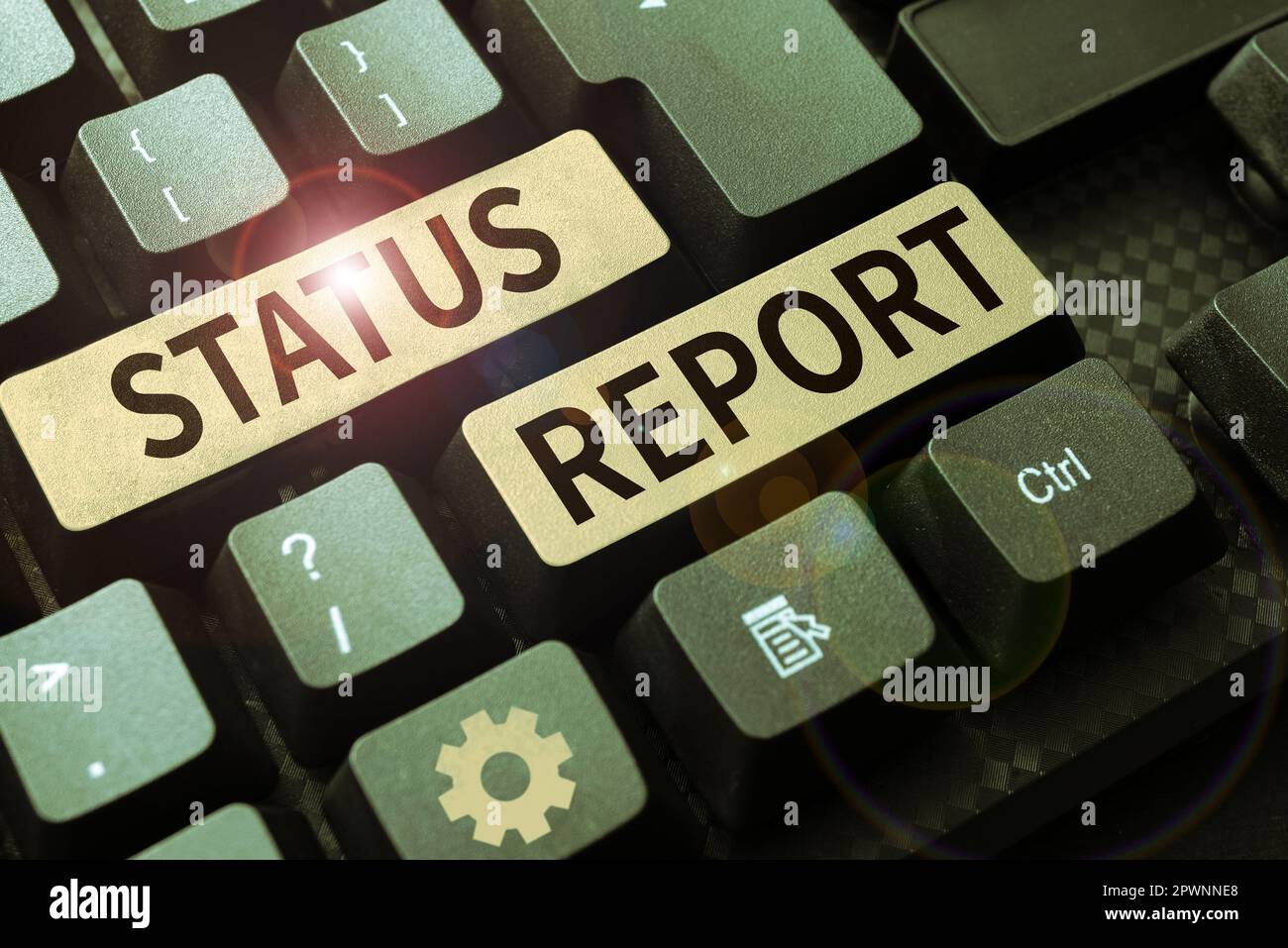 Conceptual display Status Report, Business overview Update Summary of ...