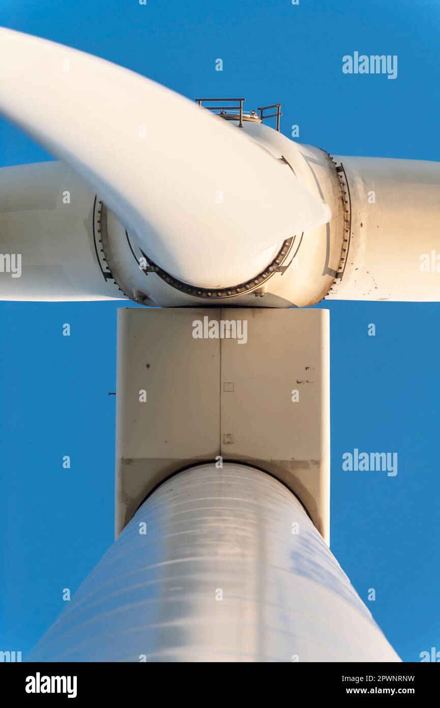 The rotor and generator of a wind turbine as part of a wind energy ...