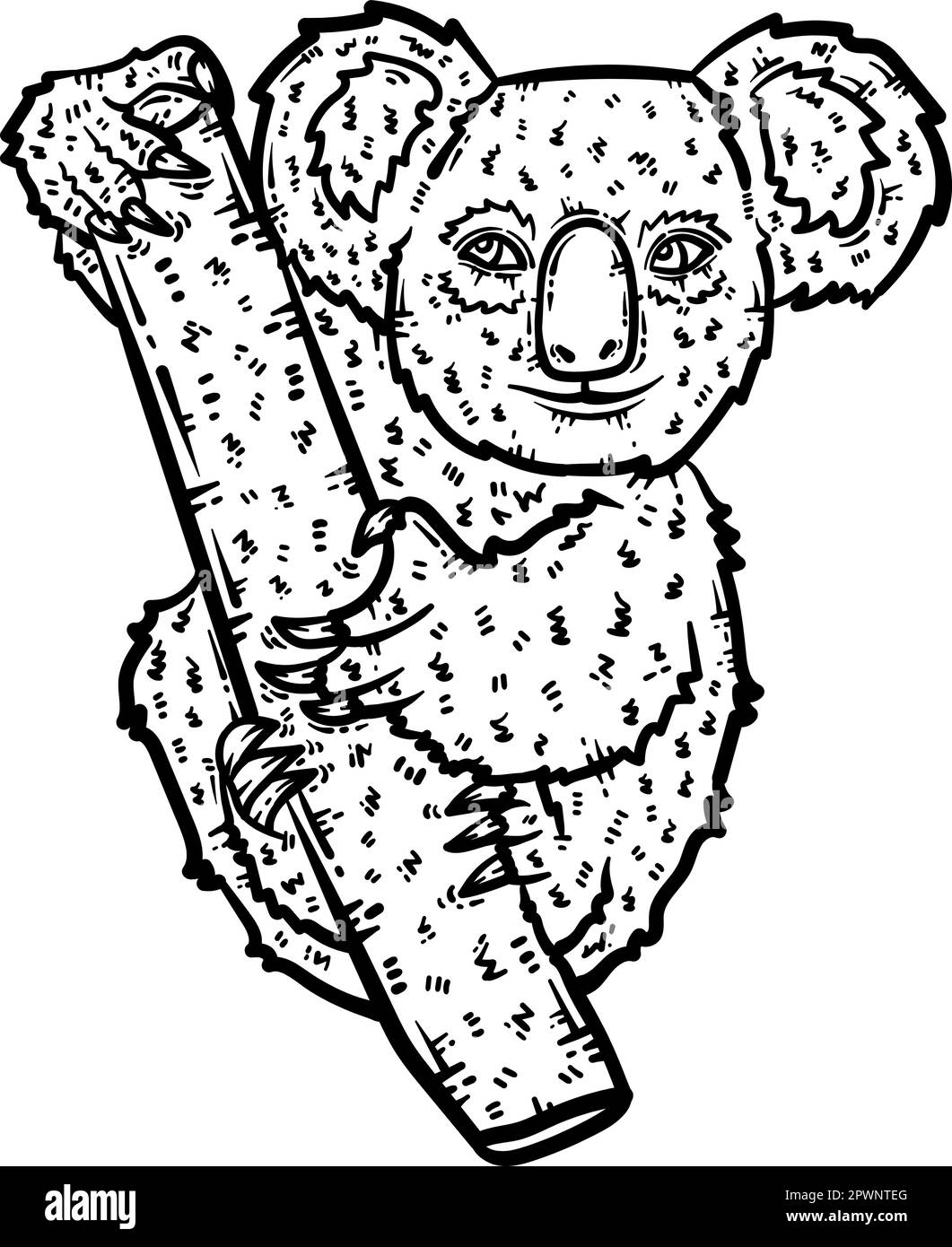 Australian adult Stock Vector Images - Alamy