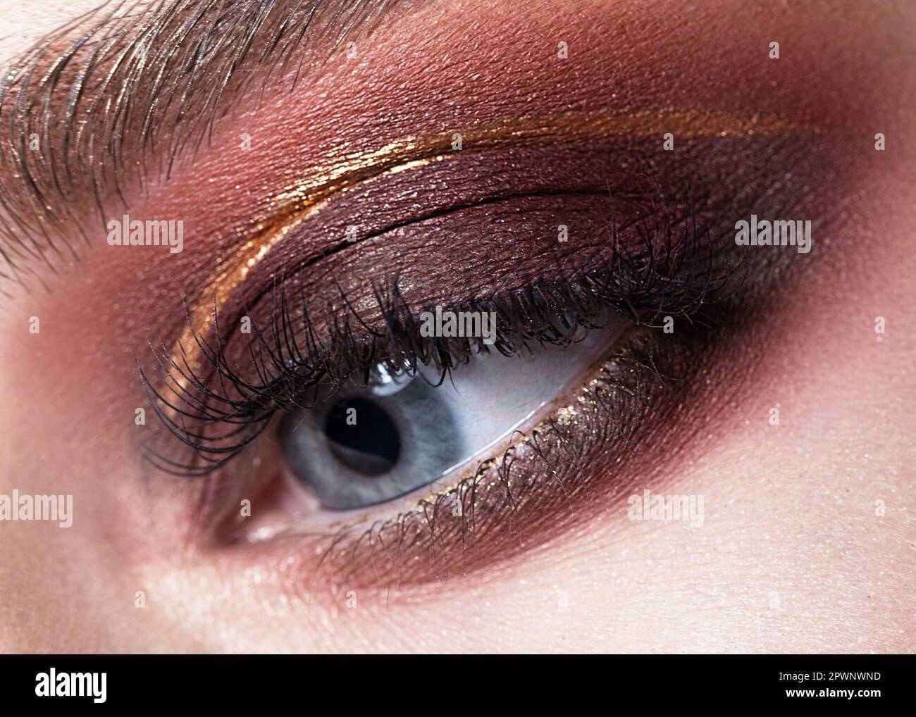 Make-up for the eyes, close-up. Beauty face. Photos shot in studio ...