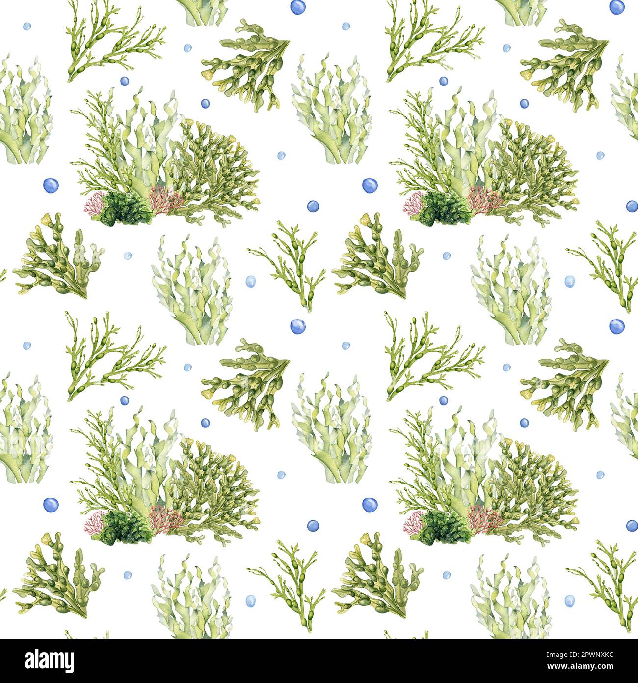 Seamless pattern of green sea plants watercolor illustration isolated ...
